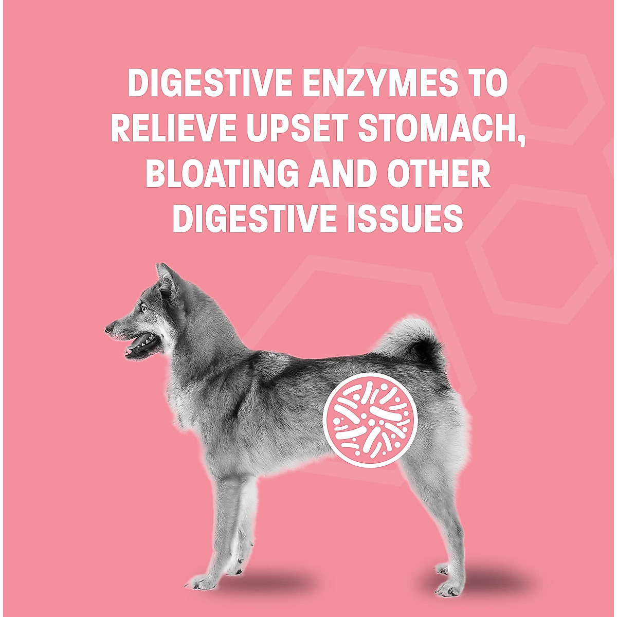 Pet Health Pros Probiotic Oral Paste for Dogs & Cats - Support Healthy Digestion Probiotic Gel - Anti Diarrhea for Dogs and Cat Probiotics for Diarrhea - for Traveling, Kenneling and Training - 30 cc