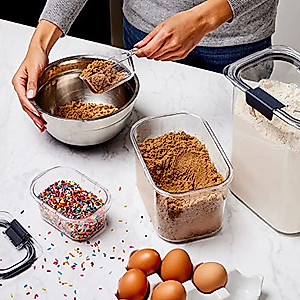 Rubbermaid 31-Piece Brilliance Food Storage Containers for Pantry with Lids for Flour, Sugar, and Pasta, Dishwasher Safe, Clear/Grey