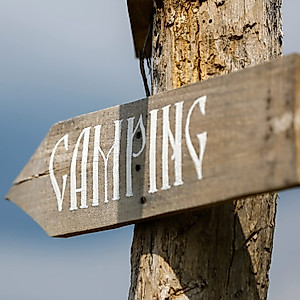 Evergreen Farm and Garden Coleman Propane Replacement Fuel Cylinders 16 oz Camping Fuel Bundled (6 Pack)