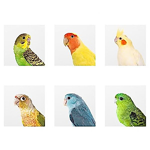 Hiceeden 2 Pack Parakeet Nest Box, Natural Wood Bird Nesting Box, Small Bird House Breeding Box for Budgie Lovebirds, Cockatiel, Parrots Mating, Aviary, 7.7×4.7×4.7 Inches