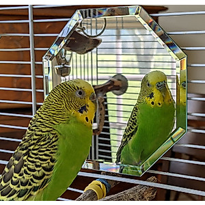 dcDalton Birdcage Mirror 5 Inch Glass with Beveled Edge Octagon Shape | Assembled in USA