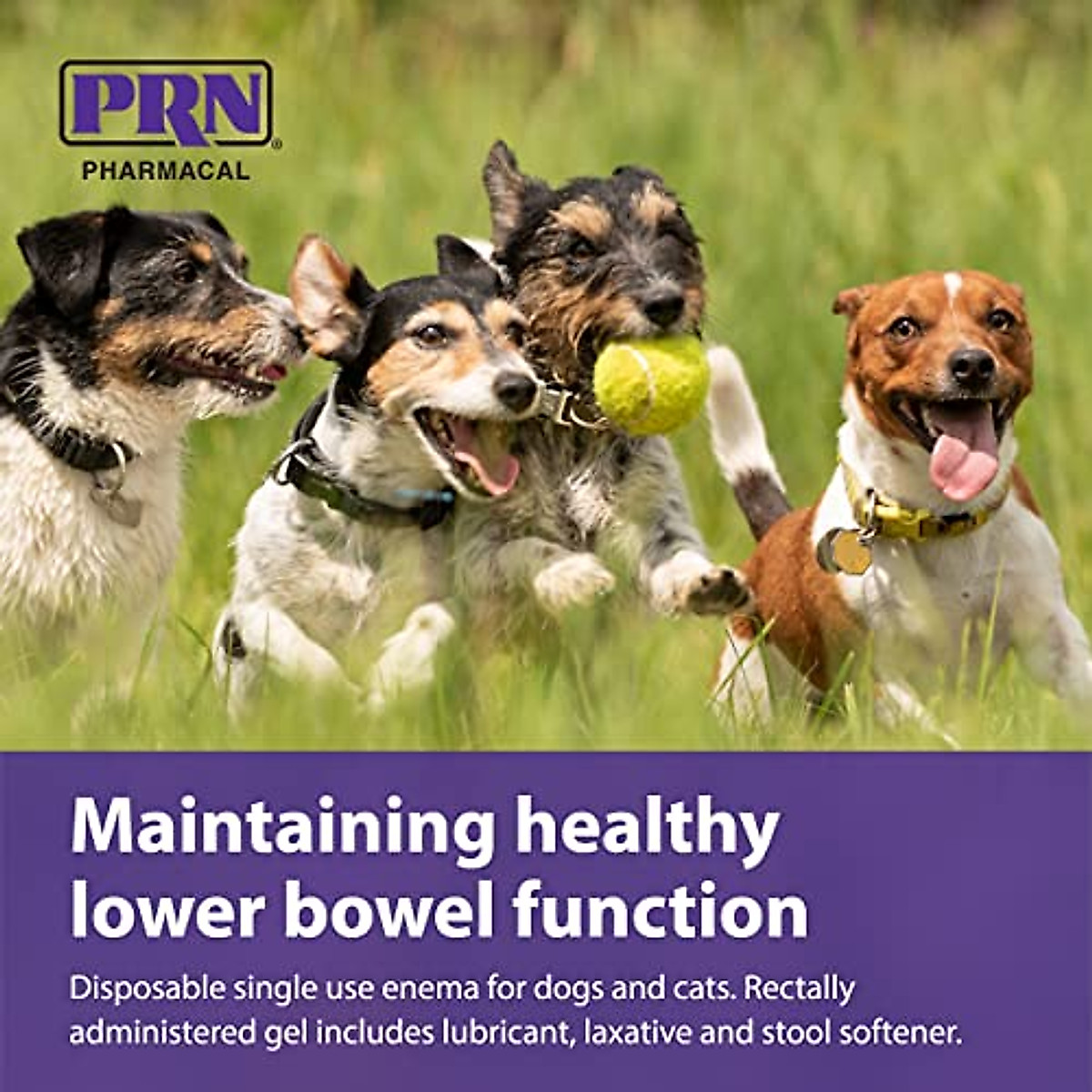 PRN Pharmacal PetEma - Disposable Single Use Enema for Dogs & Cats - Rectally Administered Gel Containing Lubricant, Laxative & Stool Softener - with Glycerin & Sorbic Acid - 12 mL Syringe - 3 Pack