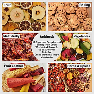 Karlsbrook Food Dehydrator Sheets - 10 Pack Reusable Resizable Non-stick Teflon Baking Sheet Oven Tray Liners with Silicone Spatula