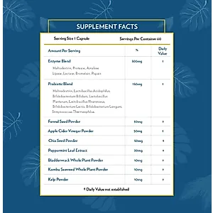 TERRA ORIGIN - Digestive Enzymes with Probiotics | Supports Healthy Digestion | Bromelain, Lactase, Amylase, Lipase | Made in The USA, Gluten-Free | 60 Servings