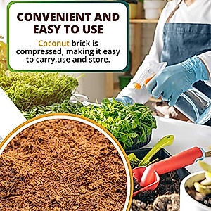 Compressed Coco Coir Block 10 Pounds, Natural Seed Starter with Low EC and pH Balance, Enhance Root Growth in Herbs, Flowers, and House Plants, Organic with High Expansion - by Vivlly