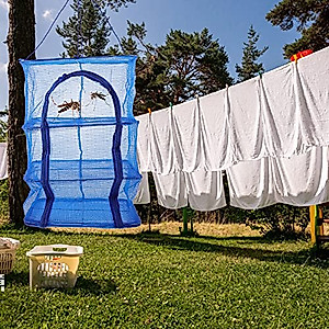 BESPORTBLE Drying Rack 4 Layers Folding Hanging Mesh Dryer for Shrimp Fish Fruit Vegetables Herb, 66X35X35cm with Buckle