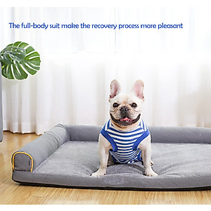 Sychien Dog Recovery Suit Post Surgery Shirt for Puppy,Small Female Male Wound Protective Suit,Blue S