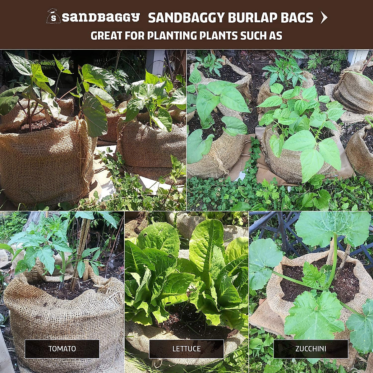 Burlap Bags for Vegetables & Gardening, 22" X 36"- Burlap Sacks Perfect for Kids - Plant Covers - Holds Up to 50lbs - Food Grade (Pack of 10)