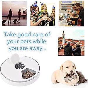 ZZK Pet Bowl pet Supplies six Grid Dog/cat pet Feeder timed Reminder Voice Dry and Wet Food LCD programmable Automatic Dispenser,B