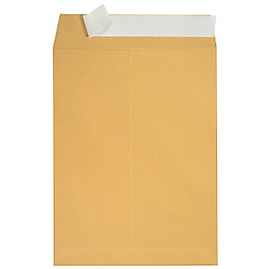 100 9 X 12 Self Seal Golden Brown Kraft Catalog Envelopes - Designed for Secure Mailing - Oversize Strong Peel and Seal Flap with 28 Pound Kraft Paper- 100 Envelopes