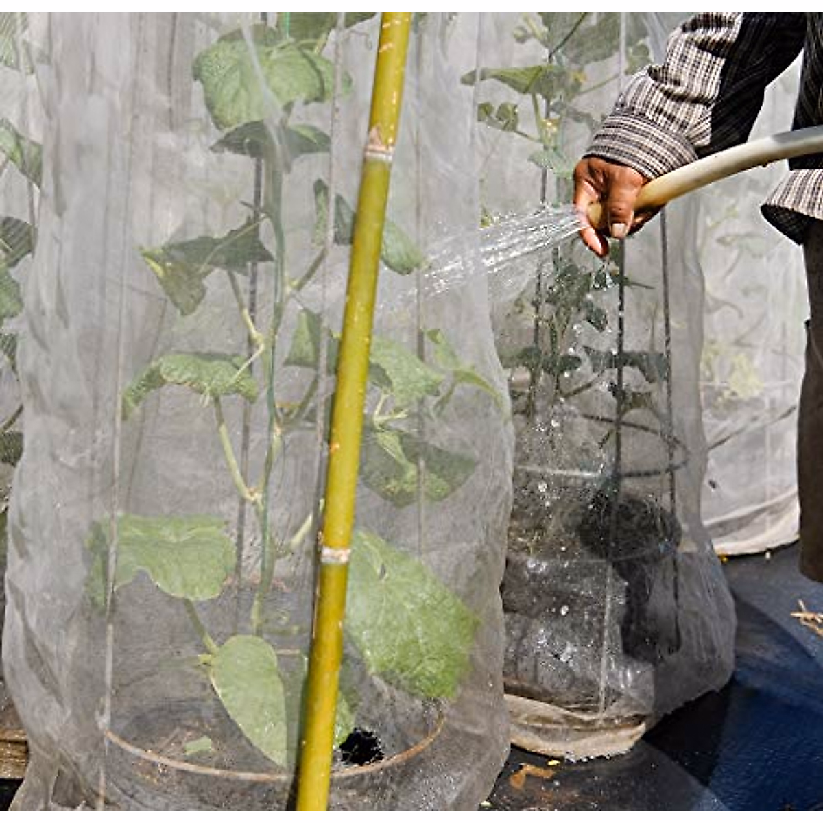 Garden Netting Pest Barrier: 4'x10'(2 Pack) Fine Bug Netting for Garden Protection Row Cover Raised Bed Screen Mesh Greenhouse Mosquito Net, Protecting Tree Plants Vegetable Flowers Fruits