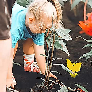 36 Pcs Sticky Traps for Fruit Fly, Whitefly, Fungus Gnat, Mosquito and Bug, Yellow Sticky Insect Catcher Traps for Indoor/Outdoor/Kitchen, Extremely Sticky Fly Trap, Non-Toxic, 4 Shapes