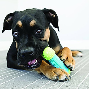 KONG - CoreStrength Ball - Long Lasting Dog Dental and Chew Toy - for Medium Dogs