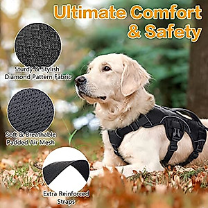 rabbitgoo Escape Proof Dog Harness, Soft Padded Full Body Pet Harness, Reflective Adjustable No Pull Vest with Lift Handle and Leash Clip for Large Dogs Walking Hiking Training, L, Black