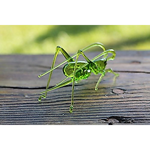 Statue of Glass Grasshopper Cute Green Glass Grasshopper from Glass Menagerie Flame work Gift