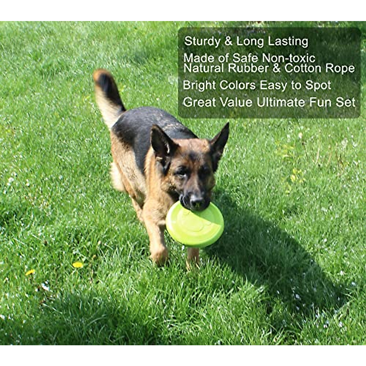 Jalousie Chew Toy Natural Rubber chew Toy for Interactive Play Toy Ball Rope Rubber Value Set for Small to Medium Breed Dog mutt Puppy