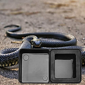 POPETPOP 4pcs Reptile Food Bowl Lizard Gecko Food Water Dish Bearded Dragon Feeding Dish Worm Plate for Small Reptile