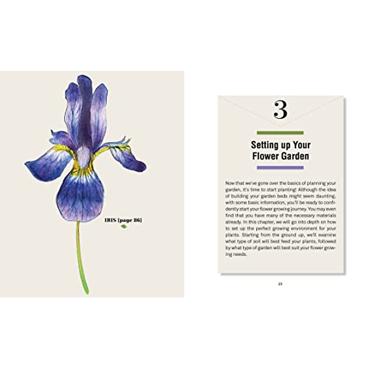 Flower Gardening for Beginners: A Guide to Growing and Maintaining a Cut-Flower Garden