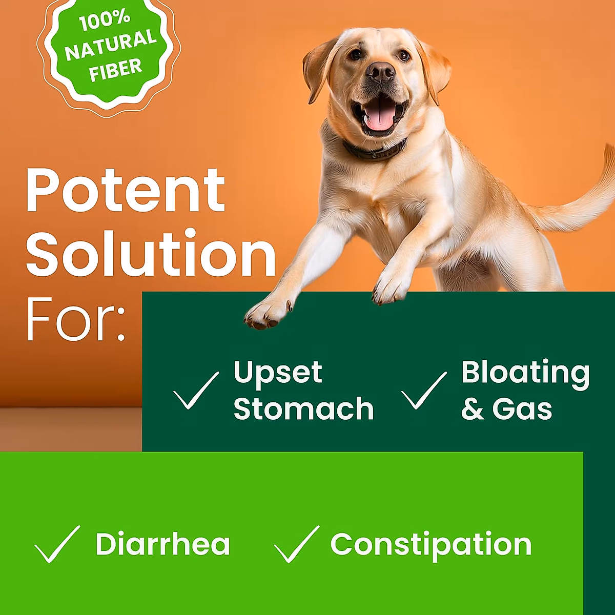 Pumpkin for Dogs - Apple, Pumpkin Seeds and Pumpkin Fruit - Fiber Supplement and Stool Softener - Diarrhea, Constipation, Upset Stomach, Food Sensitivity - Improve Digestion - 6oz Pumpkin Flavor