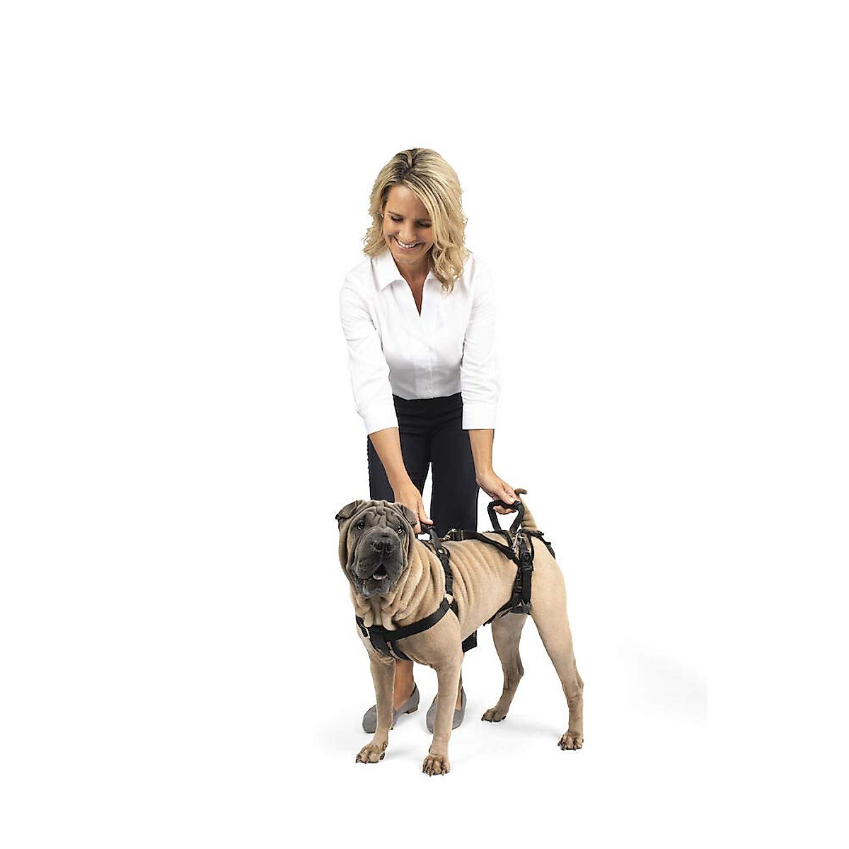 PetSafe CareLift Support Harness - Full Body Lifting Aid with Handle - Great for Pet Mobility and Older Dogs - Comfortable, Breathable Material - Easy to Adjust, Medium