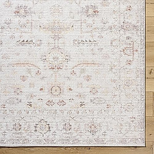 Livabliss x Our PNW Home Spokane Updated Traditional Area Rug, 3'10" x 5'7", Off-White