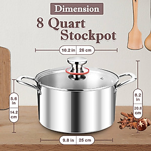 Herogo 8 Quart Stock Pot, 18/10 Stainless Steel Cooking Pot with Lid, 8 QT Pasta Pot with Handles, Tri-Ply Stockpot for Induction Gas Electric Stove, Dishwasher Safe