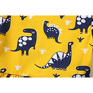 Jeinxcn Toddler Baby Girl Dinosaur Party Dress Summer Holiday Dress Outfit Clothes 4T