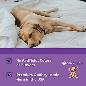 Dog Sleep Aid | Sleep Aid for Dogs | Promotes Healthy, Restful Sleep in Dogs | Melatonin for Dogs | | Dog Calming | Calming for Dogs | Dog Melatonin | Dog Anxiety Relief | 1 fl oz: Bacon Flavor