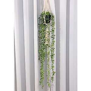 Asano Season Fake Plants Artificial Eucalyptus with Hanging Plant Hanger 2.6 FT Faux Greenery Vine Potted Plants in Black Pot and Cotton Rope for Boho Home Green House Garden Indoor Bedroom Décor
