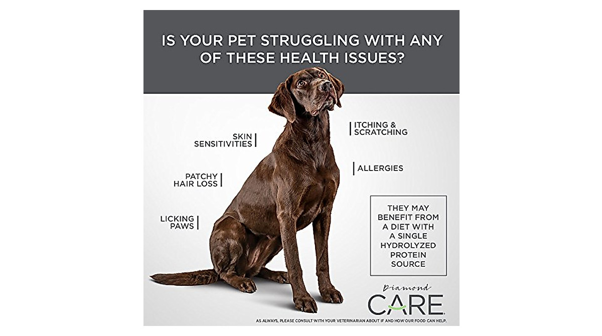 Diamond Care SEN Skin Dog Food - Premium Nutrition