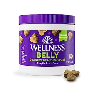 Wellness Pumpkin Patch Flavored Soft Chew Digestive Health Supplements for Dogs, 90 Count