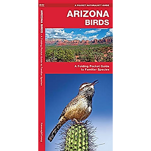 Arizona Birds (Nature Observation North America)