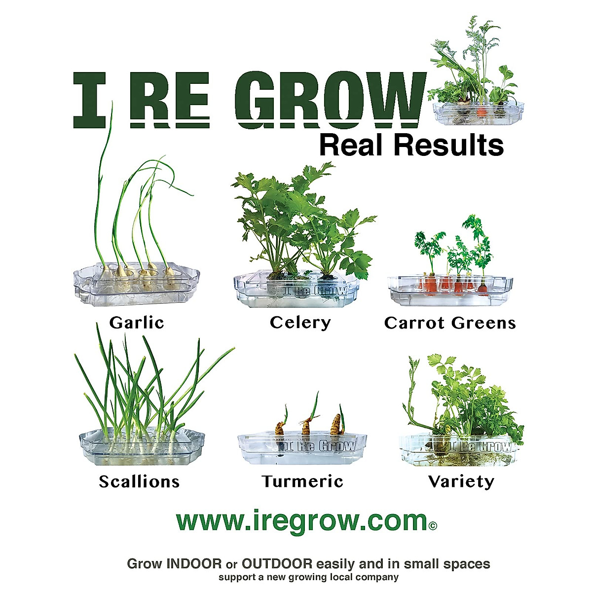 Indoor Gardening System/Small/No Electricity Needed/All Year Round/Hydroponic Growing The Easy Way/Propagate-Regrow in Your Kitchen/I Re Grow