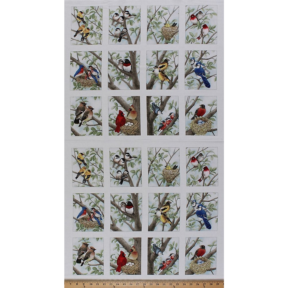 23.5" X 44" Panel Beautiful Birds Bird Nesting Bird-Watching Nests Cotton Fabric Panel (4309-CREAM-PANEL)