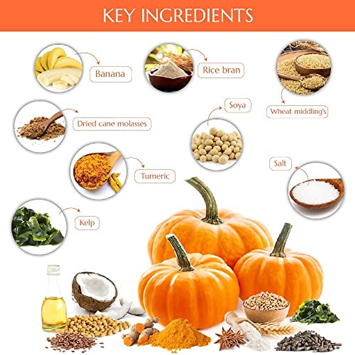 Kelcies Limited Spice Horse Treats Bag | Premium All Natural Treats | Starch and Carbohydrates | Tasty Horse Treats Packed with Superfoods | Low Sugar Treats | Suitable for Horses with Cushing's-5lbs