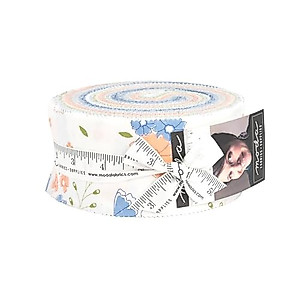 Peachy Keen Jelly Roll 29170JR by Corey Yoder from Moda by The roll