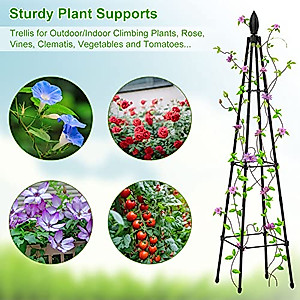 2 Packs Garden Trellis for Climbing Plants Outdoor, deaunbr Plant Support Tower Obelisk Trellis Garden Trellises for Vines, Flowers Stands, Indoor Potted Plants, Rose, Cucumber, Pea, Tomato, Clematis