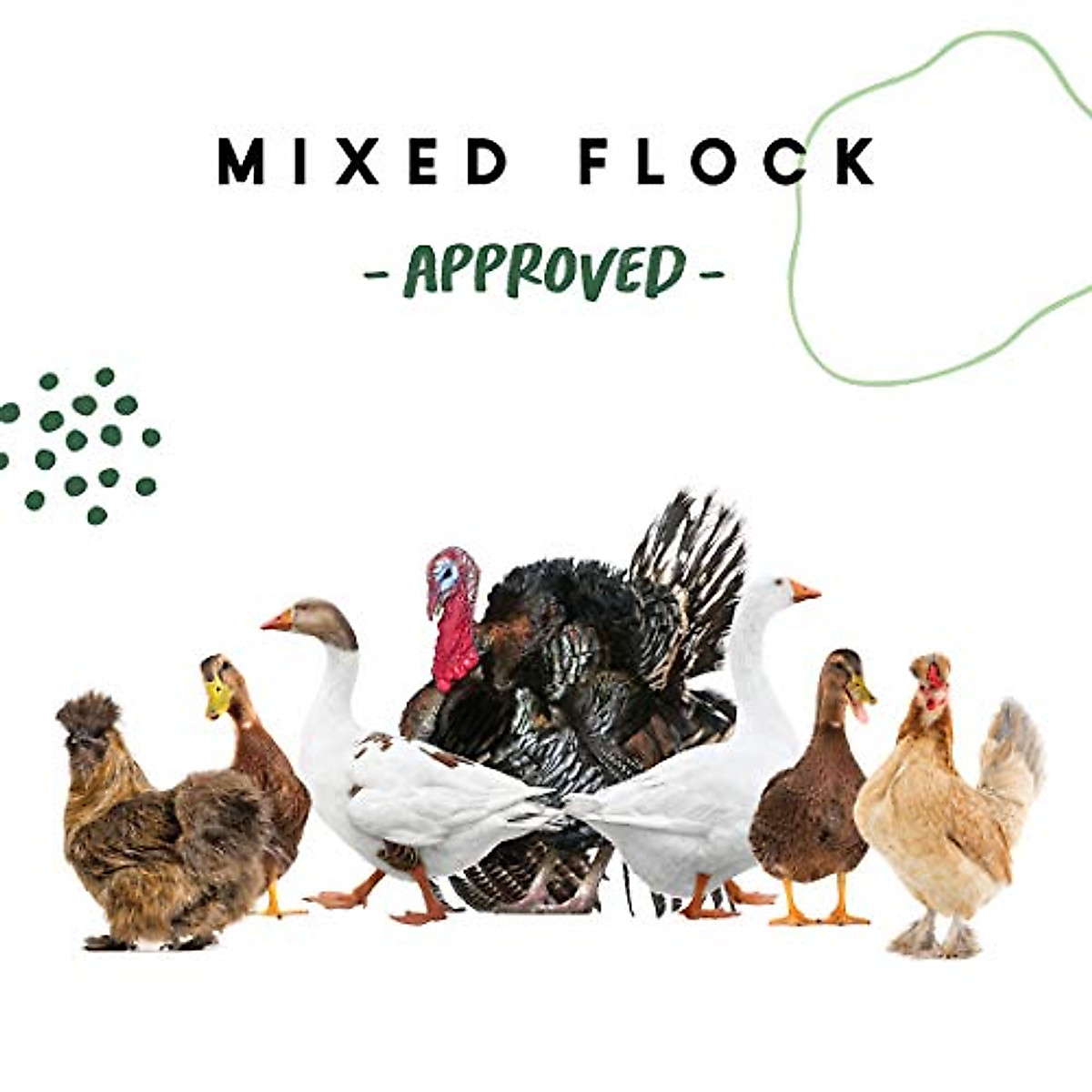 Manna Pro All Flock Crumbles | 16% Protein Level | Complete Feed for Chickens, Ducks, Geese, Turkeys and Gamebirds | Probiotics to Support Digestion | Crumbled Form for Easy Feeding | 25 Pounds