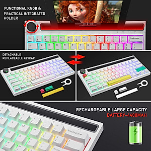 Bluetooth Mechanical Gaming Keyboard with 19 RGB Backlight Mini 61 Key Multimedia Knob Rechargeable 4400mAh Battery Type C Wired/Wireless for PC Mac Mobile Phone Gamer Typist (White/Blue Switch)