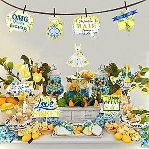 24 Pieces She Found Her Main Squeeze Photo Booth Props - Blue Tile and Lemon Bridal Shower Decorations, Yellow and Blue Capri Lemon Theme Party Supplies