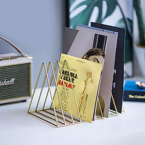 Pashion Vinyl Record Stand Holder, Desktop Album Storage Rack, Triangle Vinyl Record Shelf Display Vinyl Coated Metal Wire Rack Functional & Stylish Display Rack for Office Home