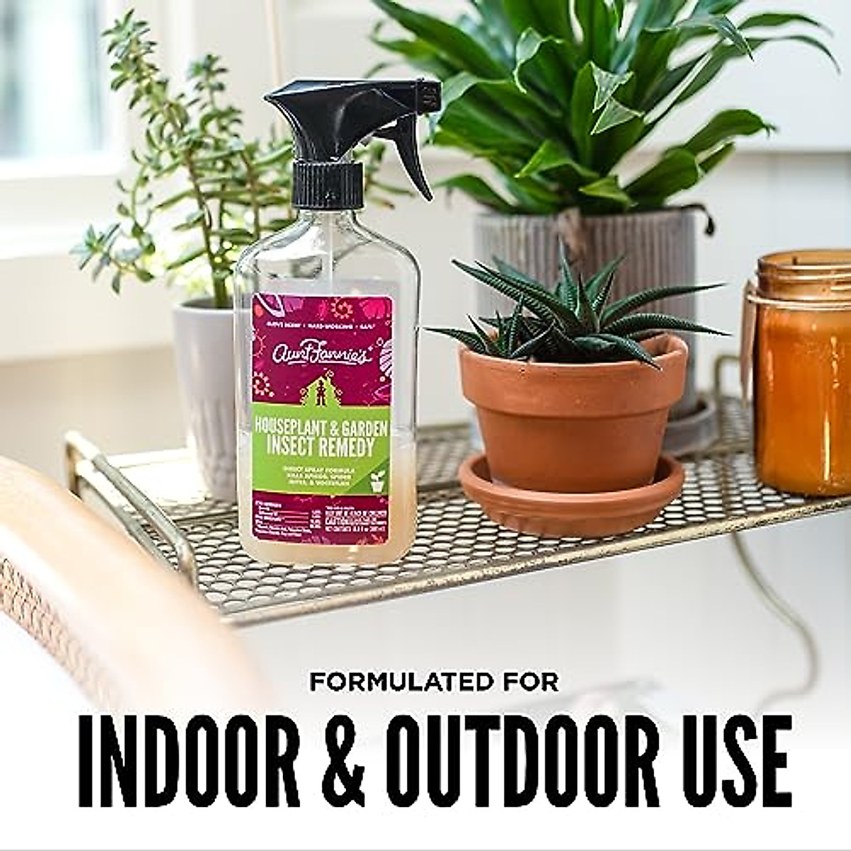 Aunt Fannie’s Houseplant & Garden Insect Remedy, Indoor and Outdoor Plant Insect Killer (3-Pack)
