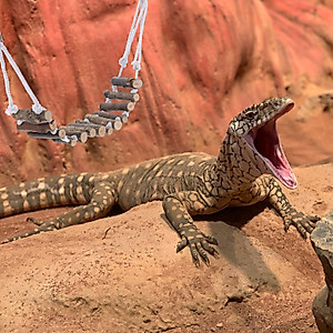 Ipetboom Climbing Pet Suspension Bridge Lizard Accessories Tank Reptile Decor Tank Reptile Ladder Terrarium Reptile Decor Wooden Reptile Ladder Hanging Reptile Decor Wooden Lizard Ladder