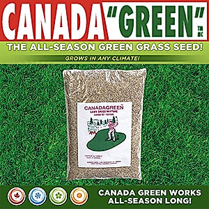Canada Green Grass Seed - 6 Pound Bag