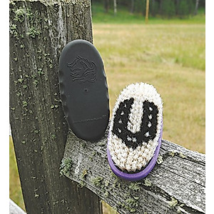 Tail Tamer Boar Bristle Horse Grooming Brush with Assorted Designs - Small