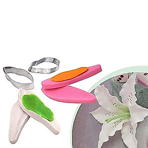 AK ART KITCHENWARE Lily Veining Mold Fondant Cutter Set Gum Paste Tools Cake Decorating Tools for Bakery Kitchen A351&VM067&VM005