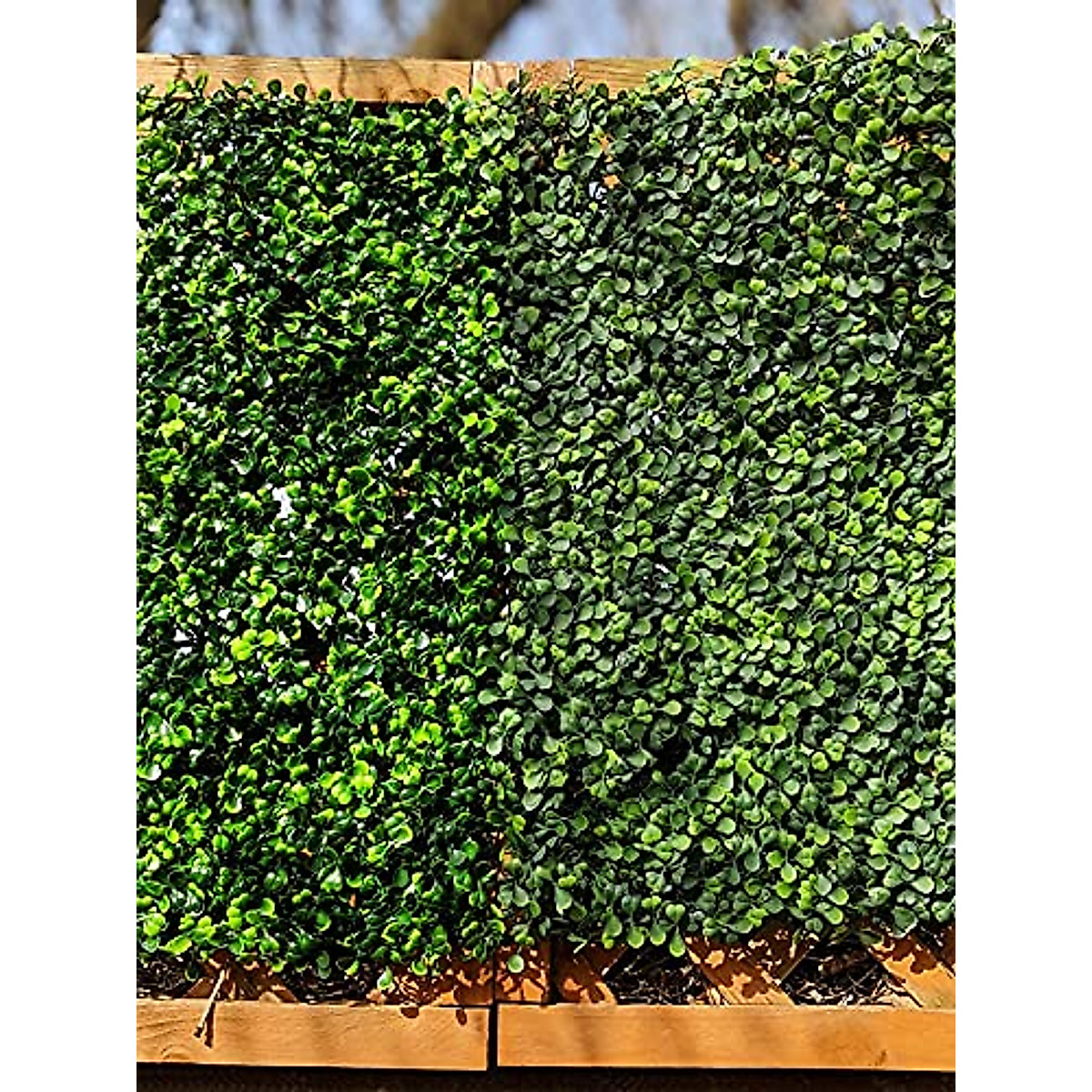 uyoyous 12PCS Grass Wall Panels 24x16 Inch Artificial Boxwood Hedges Mat Grass Backdrop Fence Screen Privacy Greenery Panel Indoor Outdoor Decor for Garden Backyard Patio Party, 31 Sq.ft