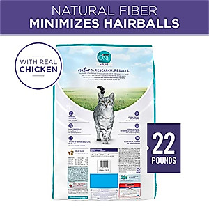 Purina ONE Natural Cat Food for Hairball Control, +PLUS Hairball Formula - 22 lb. Bag