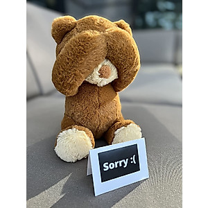 Cutest I'm Sorry Gift for Her & Him - The I'm Sorry Teddies - Embarrassed Adorable Super Soft Stuffed Animal Plush Toy - Unique Cute Forgive Me Apology Teddy Bear Gift for Kids and Adults - Brown
