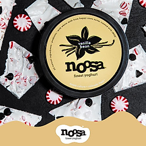 Noosa, Yoghurt Vanilla Bean, 8 Ounce, Probiotic, Whole Milk Yogurt, No Artificial Ingredients, Gluten Free